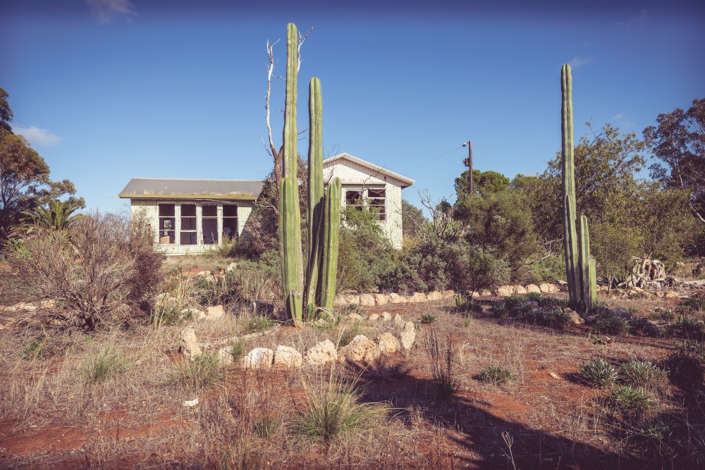Urban Exploration – The Cactus Ranch – AUTOPSY OF ADELAIDE