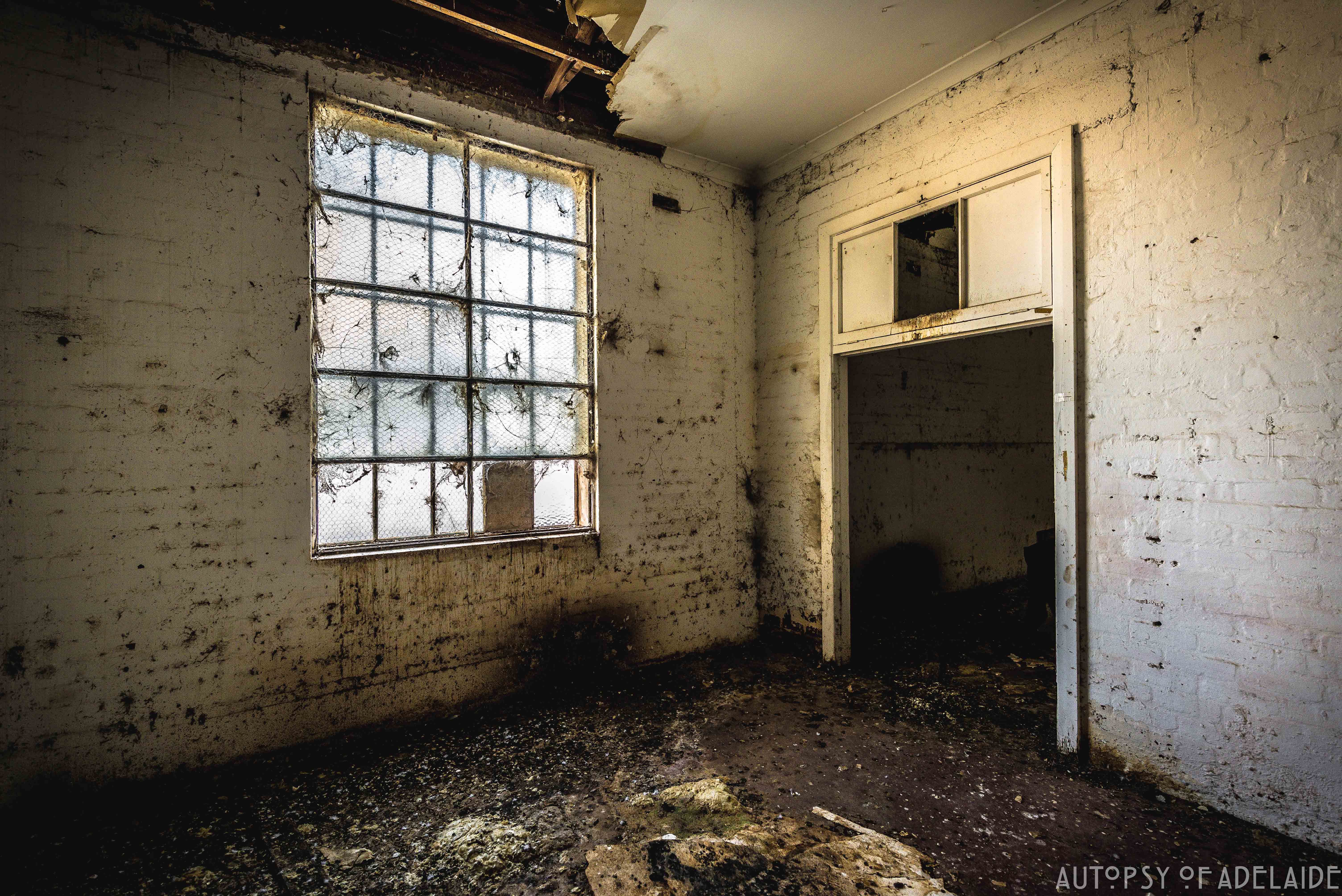 Urban Exploration – The Gerard & Goodman Building – AUTOPSY OF ADELAIDE